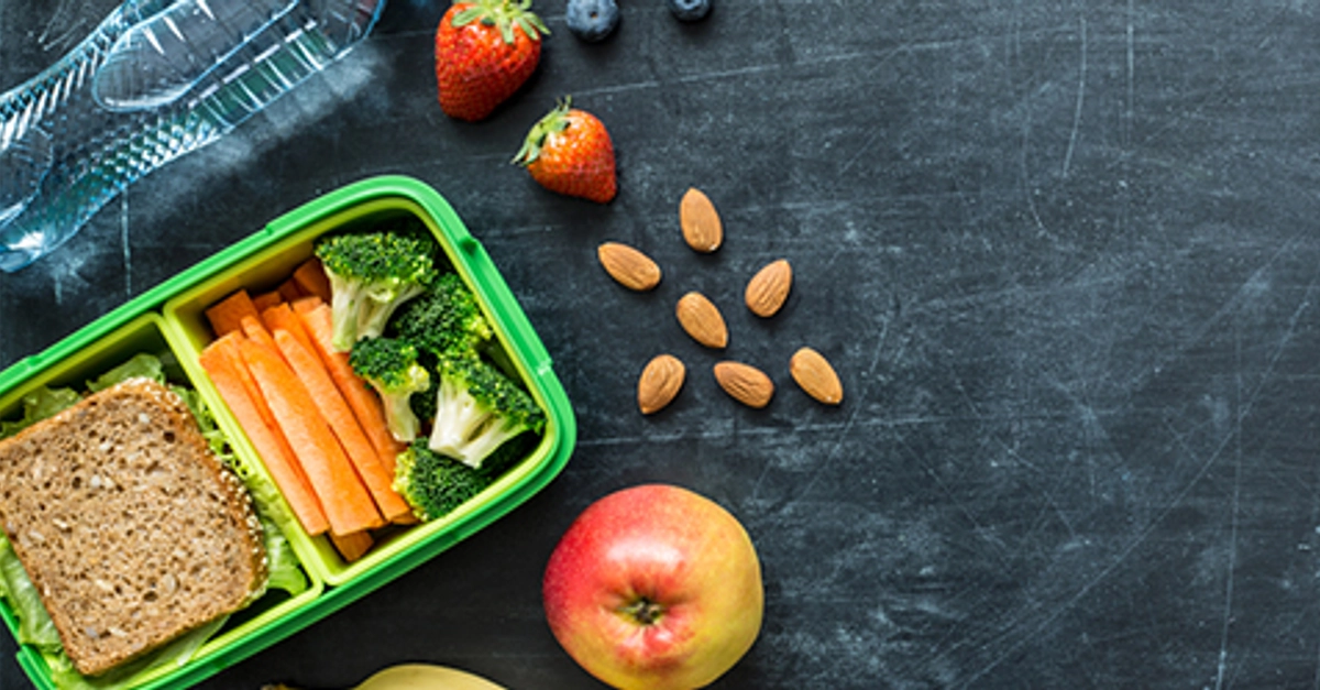 The Ideal Nutrition for Children online Course: A Comprehensive Guide ...