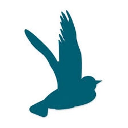 Organization: The Fledgling Fund