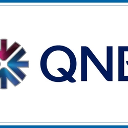 Organization: Qatar National Bank (QNB)