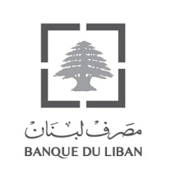 Organization: banque du liban