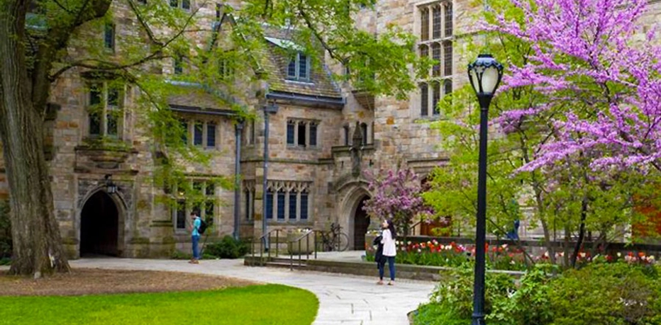 The University of Yale - جامعة ييل