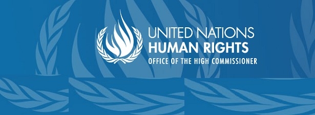 OHCHR Fellowship on Human Rights for Indigenous People
