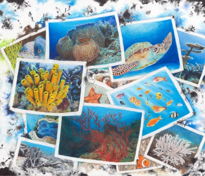 Science without Borders Challenge 2024 from Khaled bin Sultan Living ...