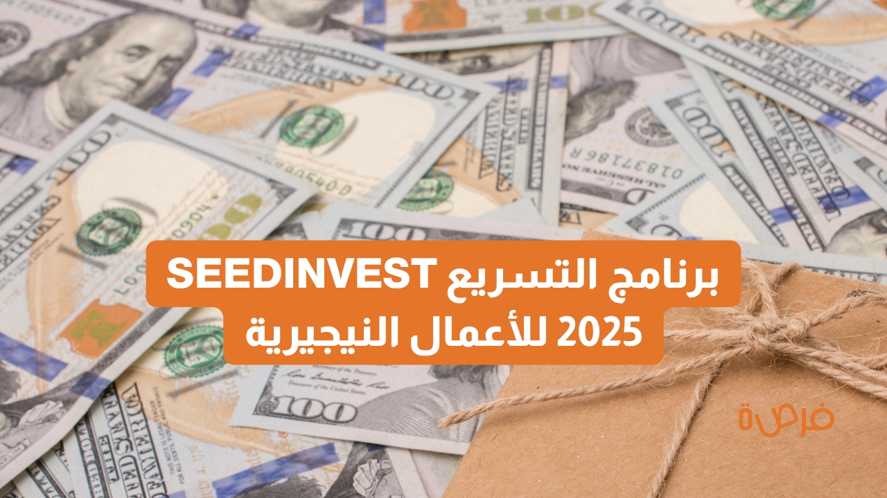 SEEDINVEST Acceleration Programme 2025 for Nigerian Businesses