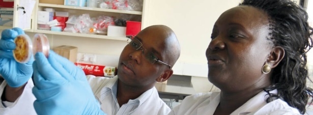 Agriculture Research Fellowship for Somali and Sudanese Scientists to Kenya